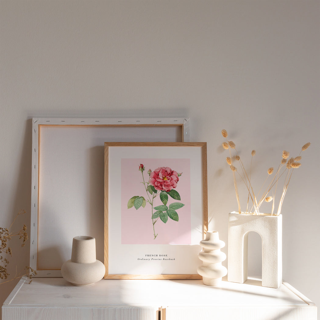 Pink French Rose Poster — HypeSheriff Europe
